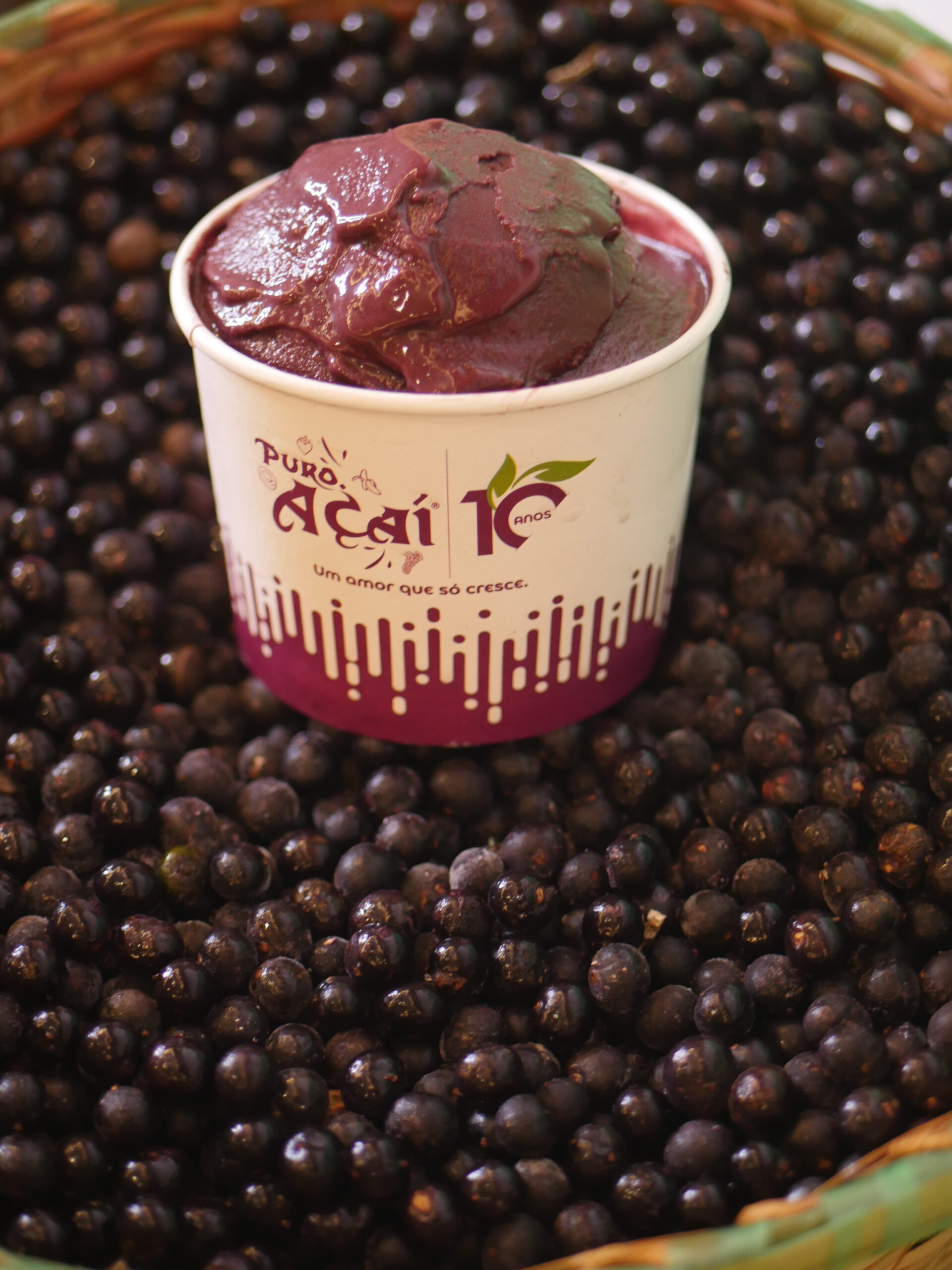 Investimento de Impacto: O Papel Social das Franquias de Açaí no Brasil ...